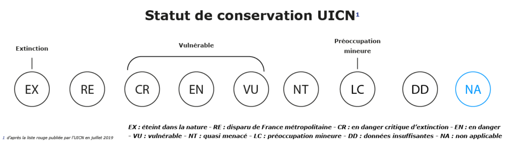 ASPE (𝐿𝑒𝑢𝑐𝑖𝑠𝑐𝑢𝑠 𝑎𝑠𝑝𝑖𝑢𝑠) - L'Observatoire des Poissons du bassin Seine ...