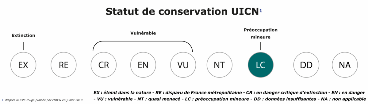 BOUVIERE | Fiche poisson